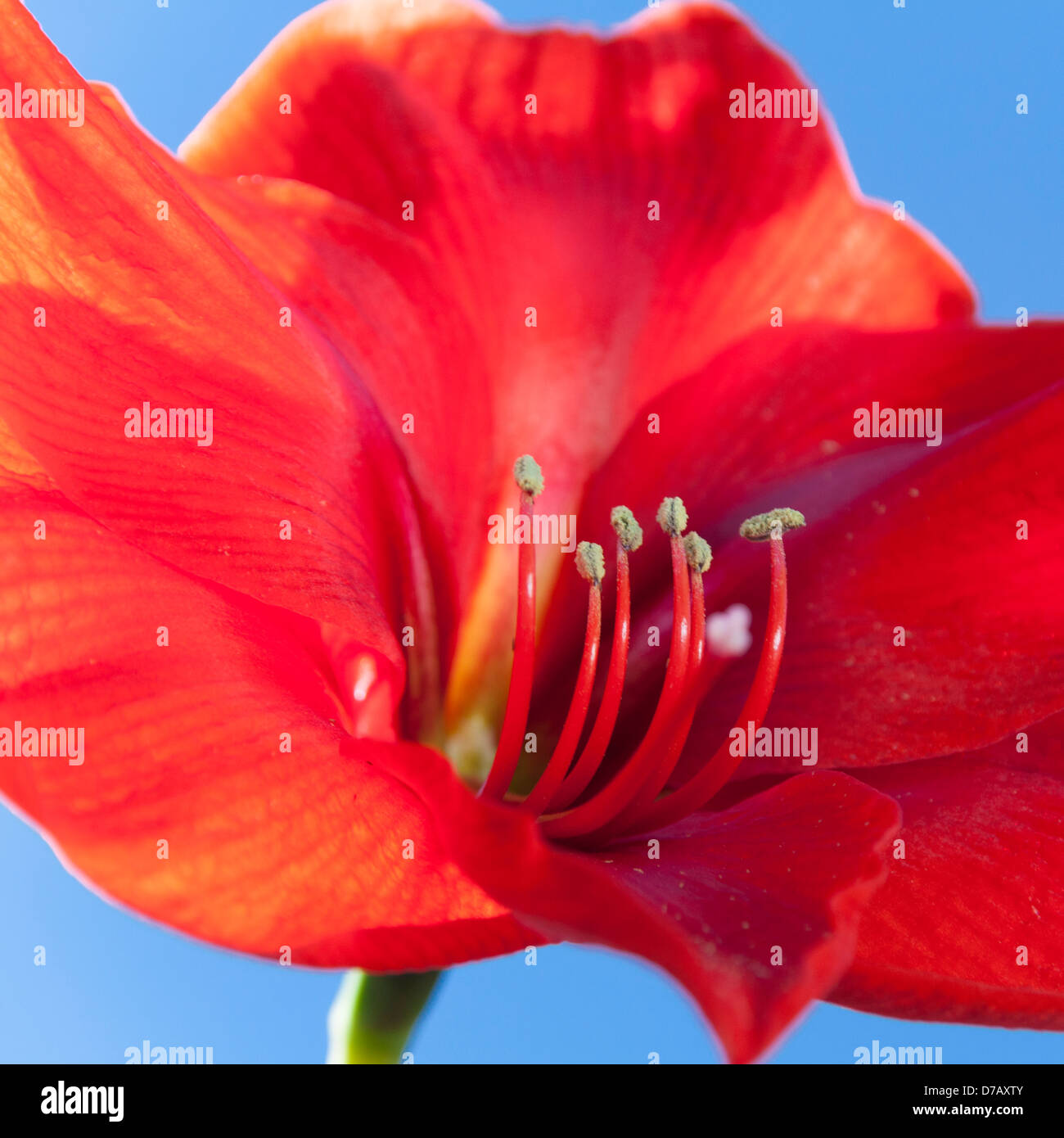 1x1 aspect ratio hi-res stock photography and images - Alamy