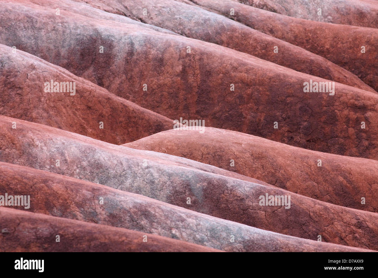 Clay banks in the badlands near the village of inglewood; caledon ...