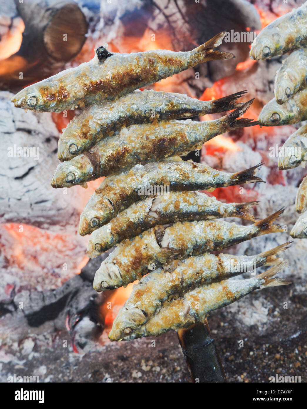 A Skewer Of Sardines Roasting Over An Open Fire;Torremolinos Malaga ...