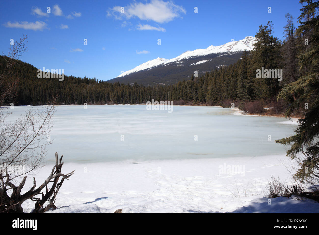 Frozen lake at Burstall Pass area in Kananaskis Country, Alberta Stock ...