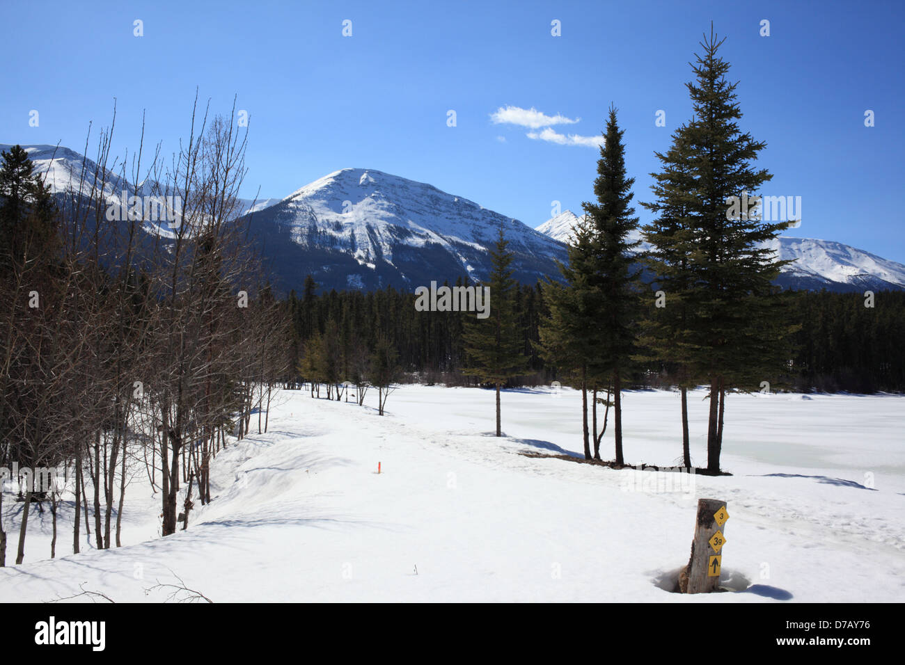 Blue sky, white snow at Burstall Pass area in Kananaskis Country ...