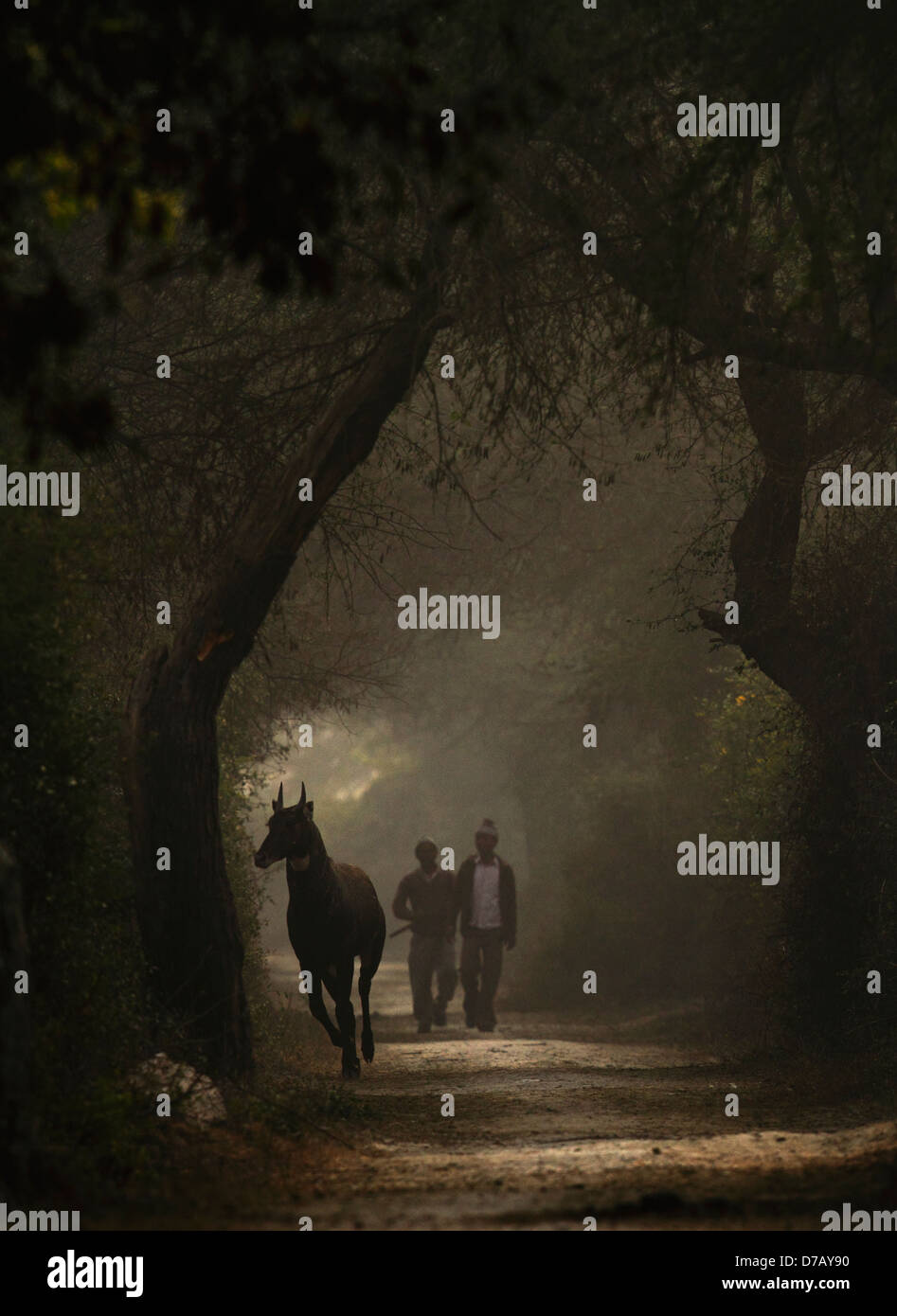 Human wildlife conflict hi-res stock photography and images - Alamy