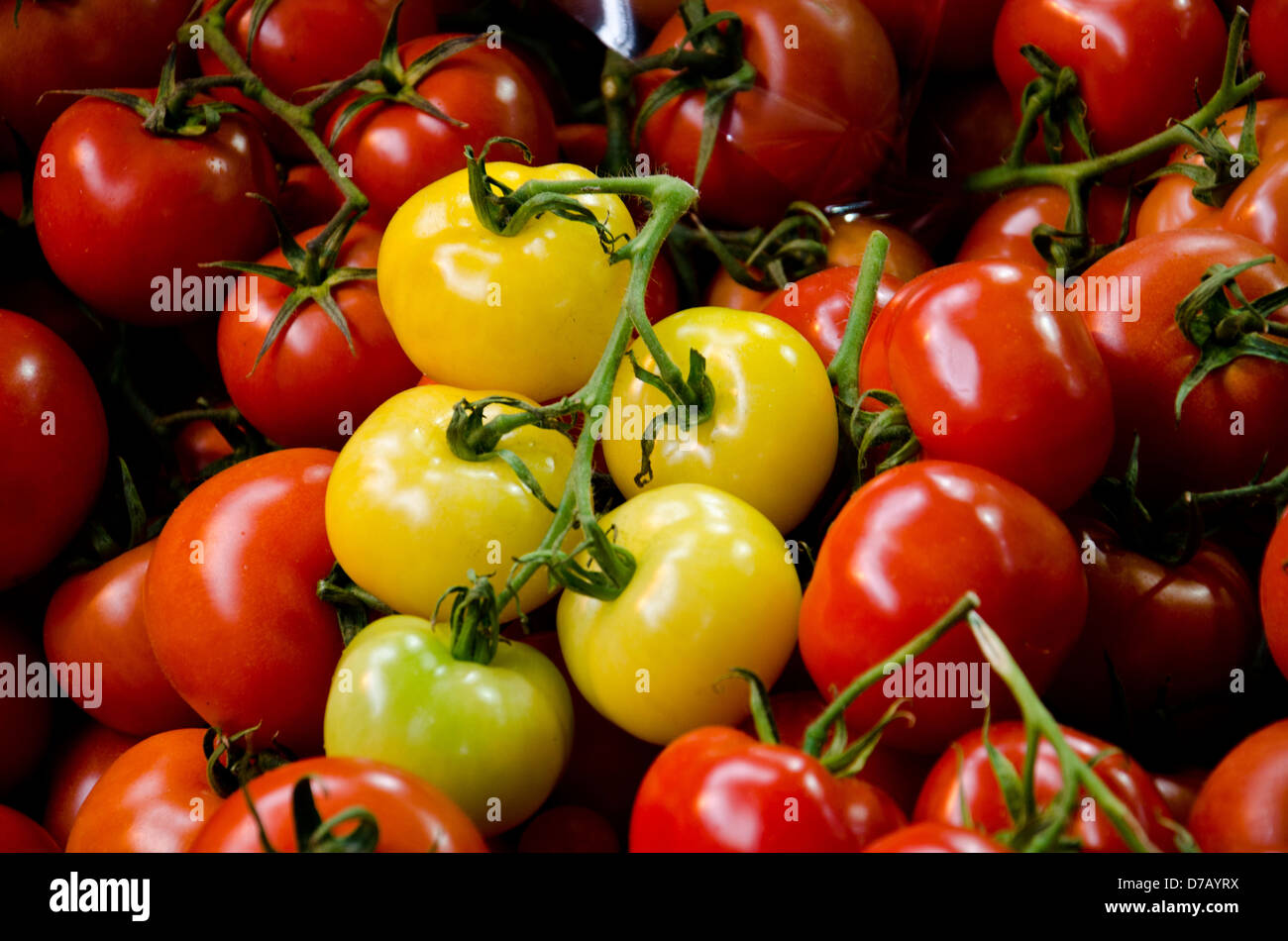 Colorful tomato hi-res stock photography and images - Alamy