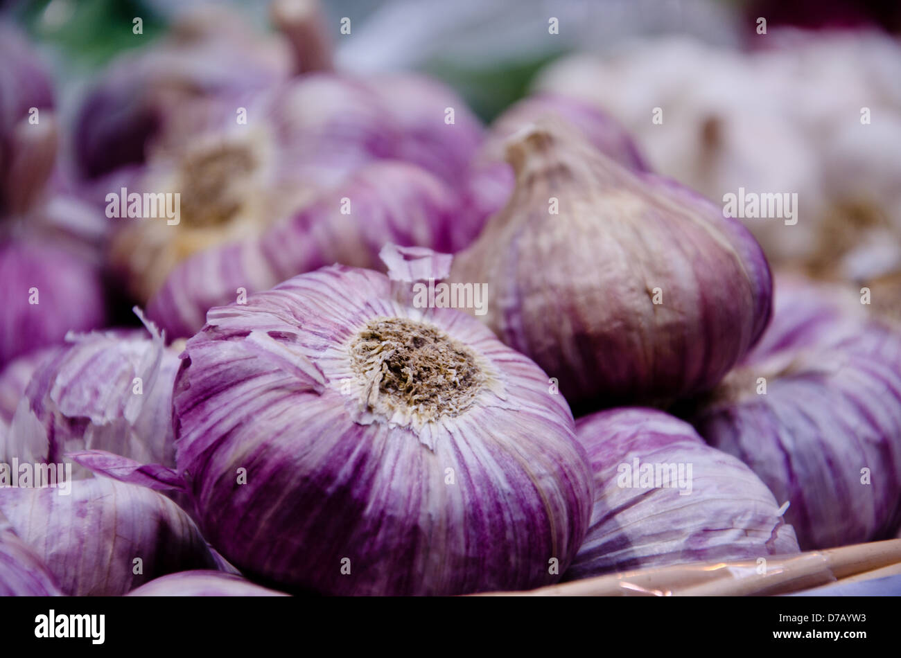 Pink garlic hi-res stock photography and images - Alamy