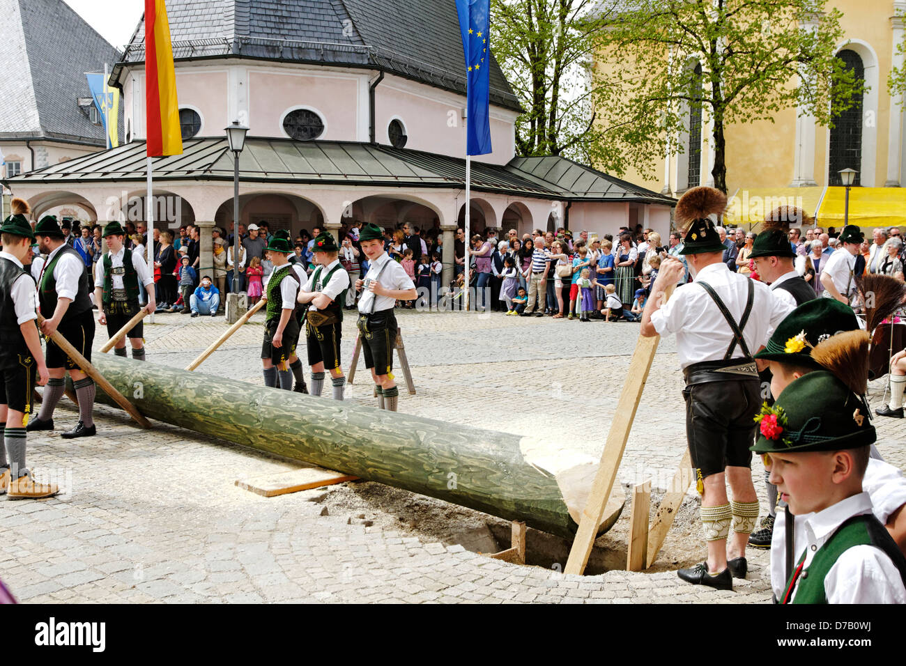 Traditional Raising of the Maypole ( Maibaum-Aufstellen Stock Photo - Alamy
