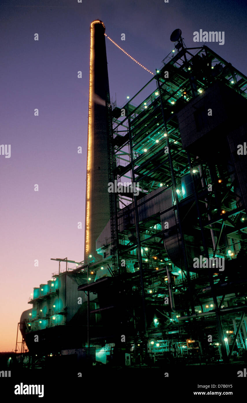 Hadera plant hi-res stock photography and images - Alamy