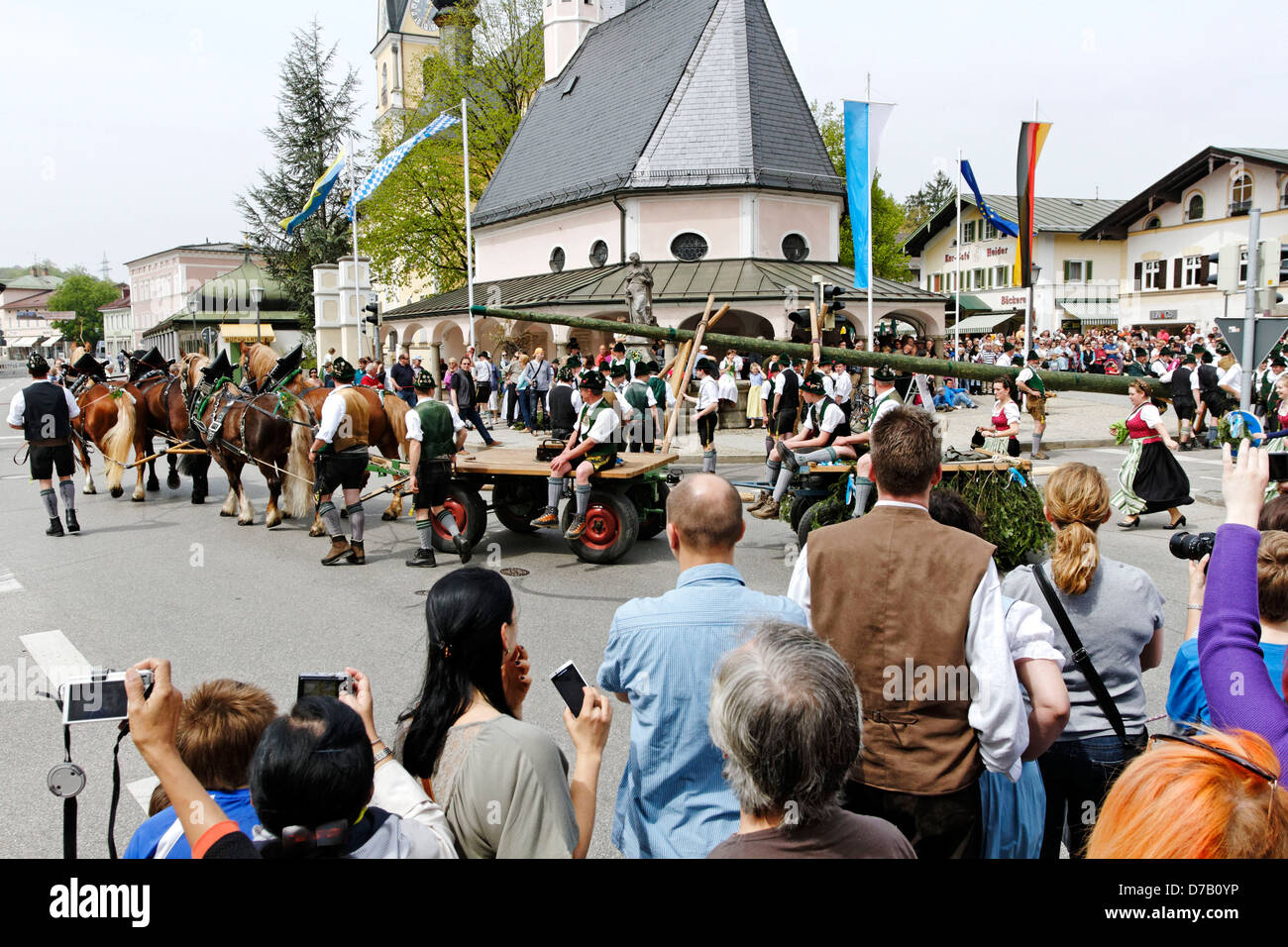 Traditional Raising of the Maypole ( Maibaum-Aufstellen Stock Photo - Alamy
