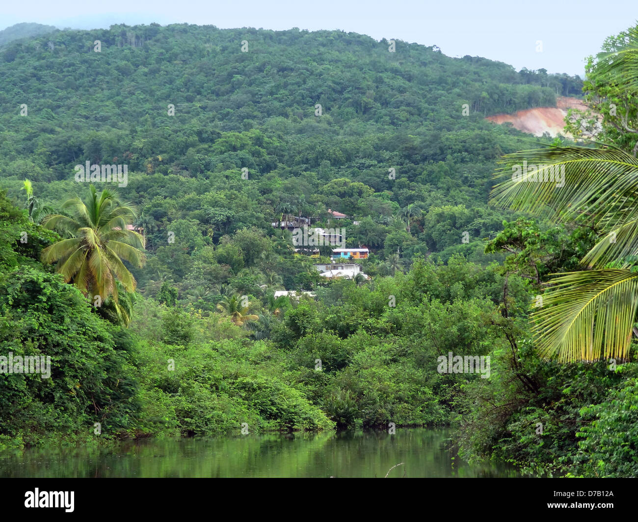 idyllic jungle scenery with small settlement at a caribbean island ...