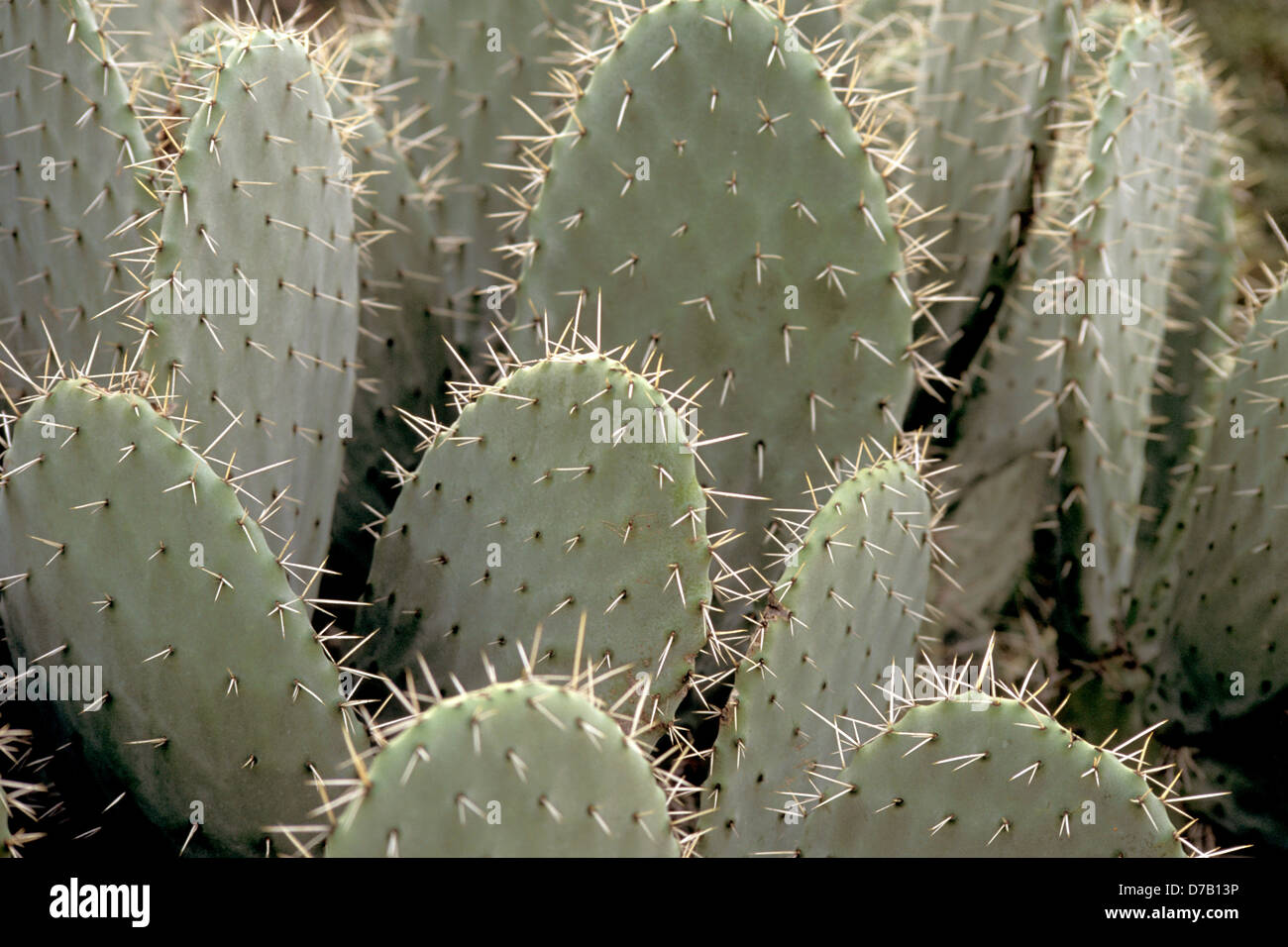 10629 hi-res stock photography and images - Alamy