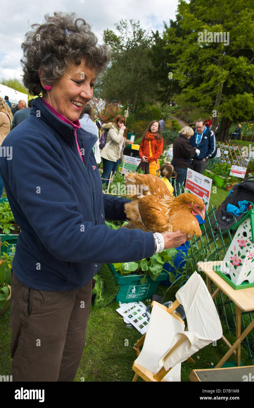 Gardener with chicken on allotment display at Exeter Festival of South ...