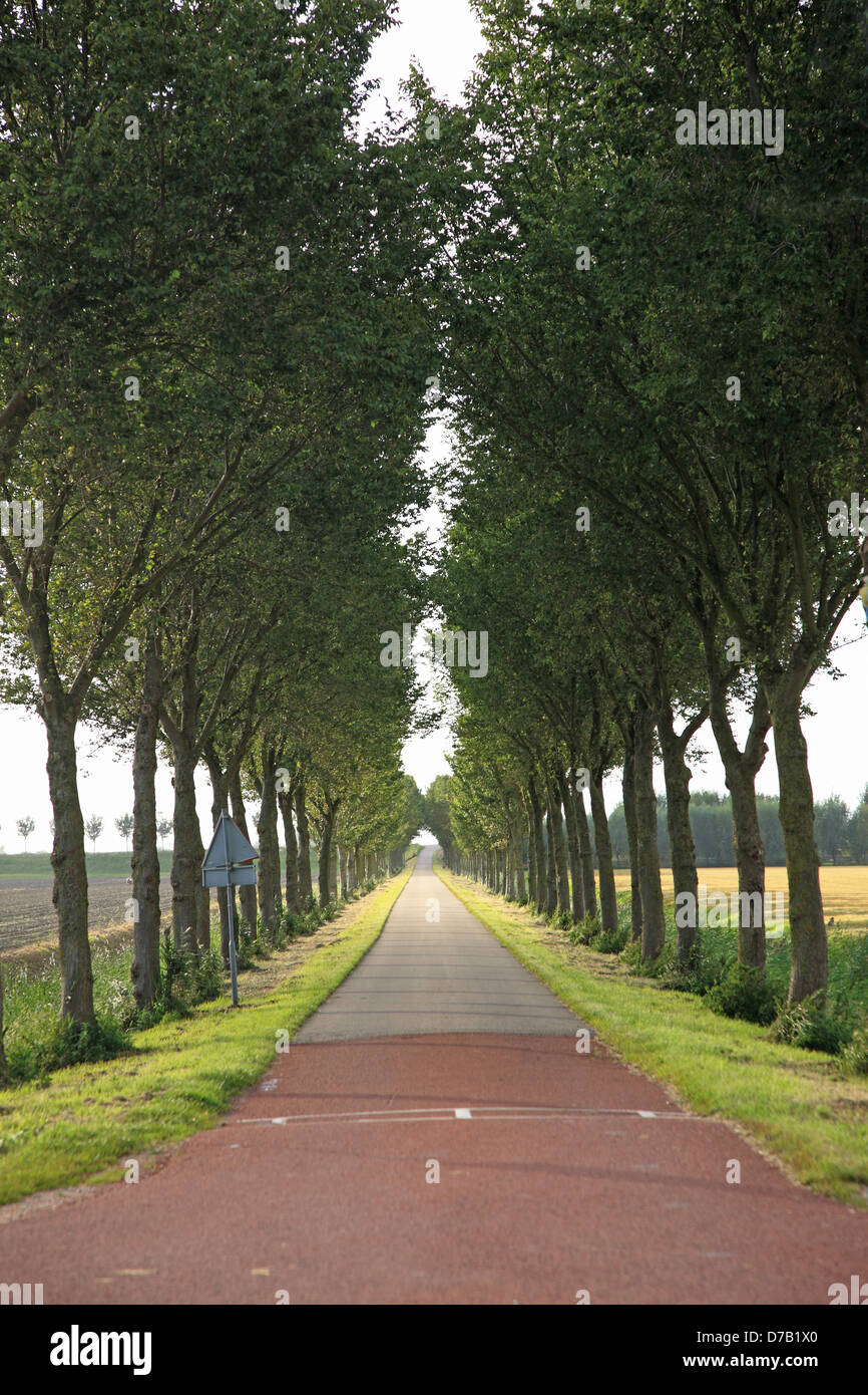 Polder hi-res stock photography and images - Alamy