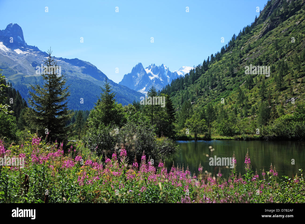 Montets hi-res stock photography and images - Alamy