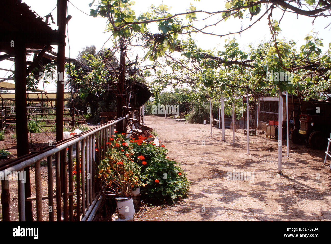 Nahalal hi-res stock photography and images - Alamy