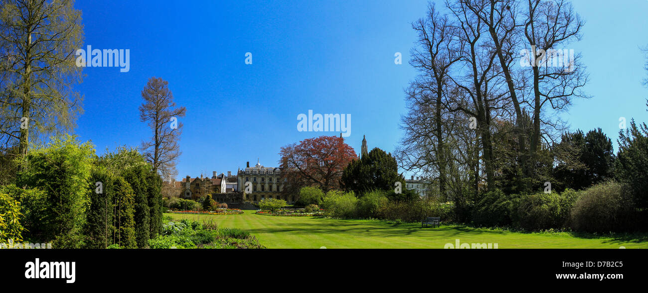 Clare College in spring Stock Photo - Alamy