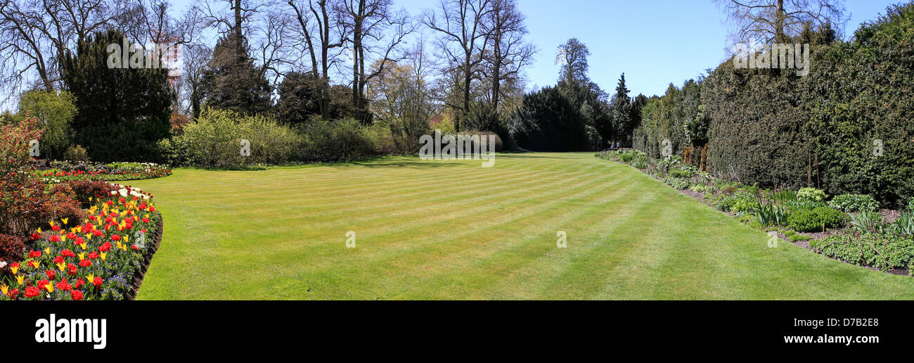 Clare College in spring Stock Photo - Alamy