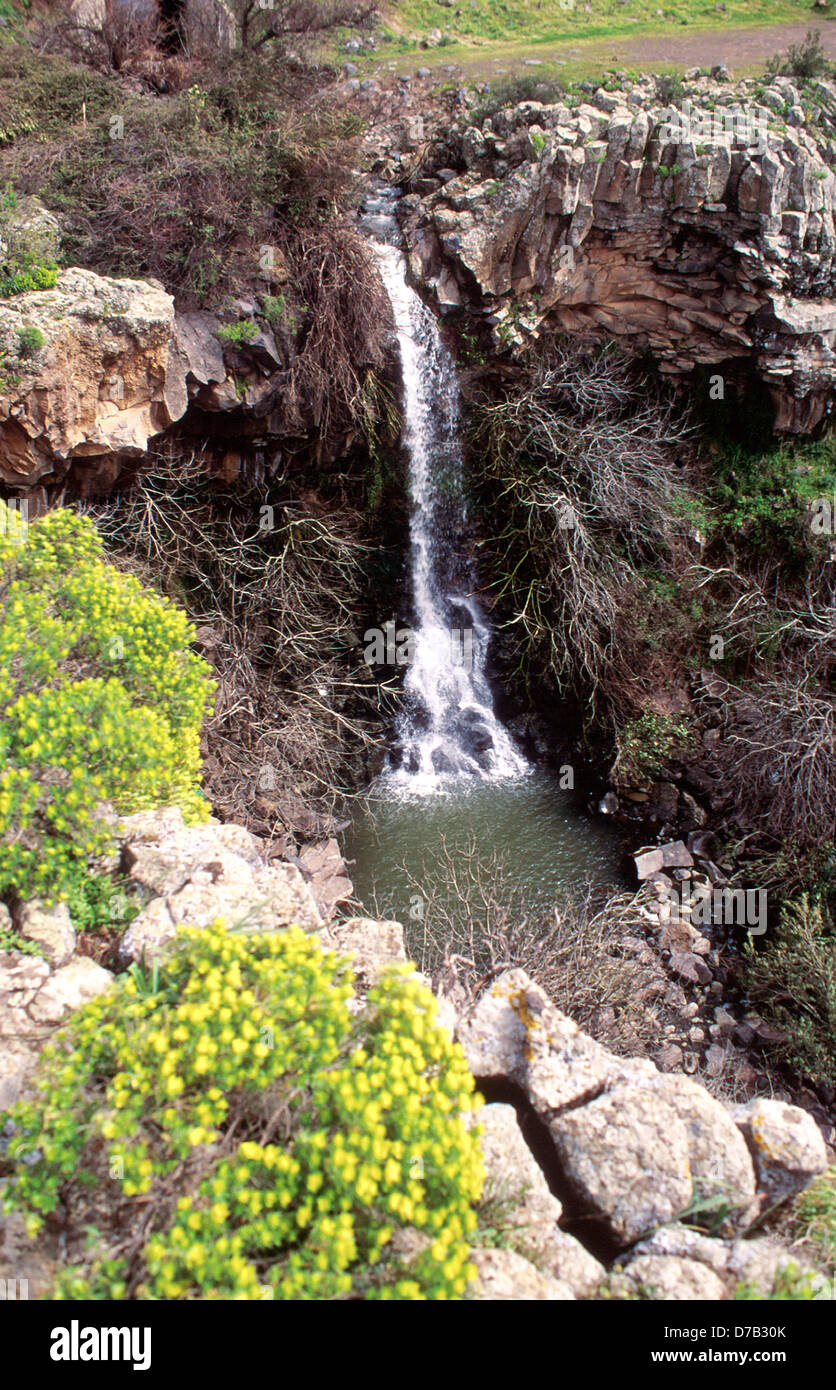 Saar waterfall in the Golan Israel Stock Photo - Alamy