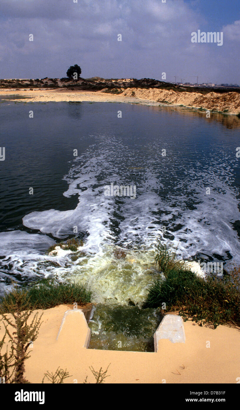 reclaimable water poured into oxidation pond in the shafdan Stock Photo ...