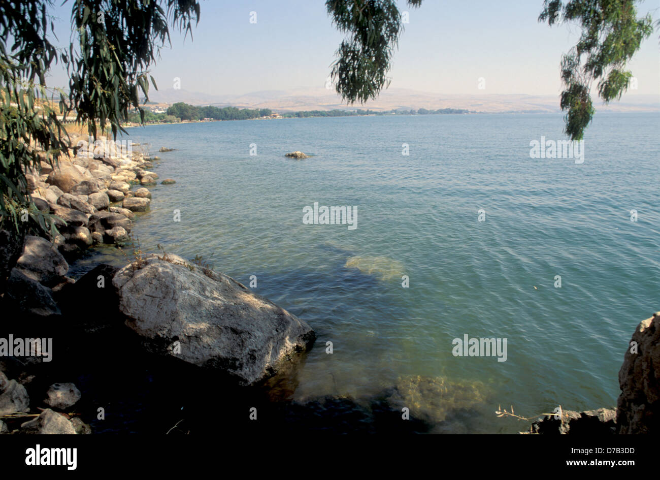 shore of the sea of galilee Stock Photo - Alamy