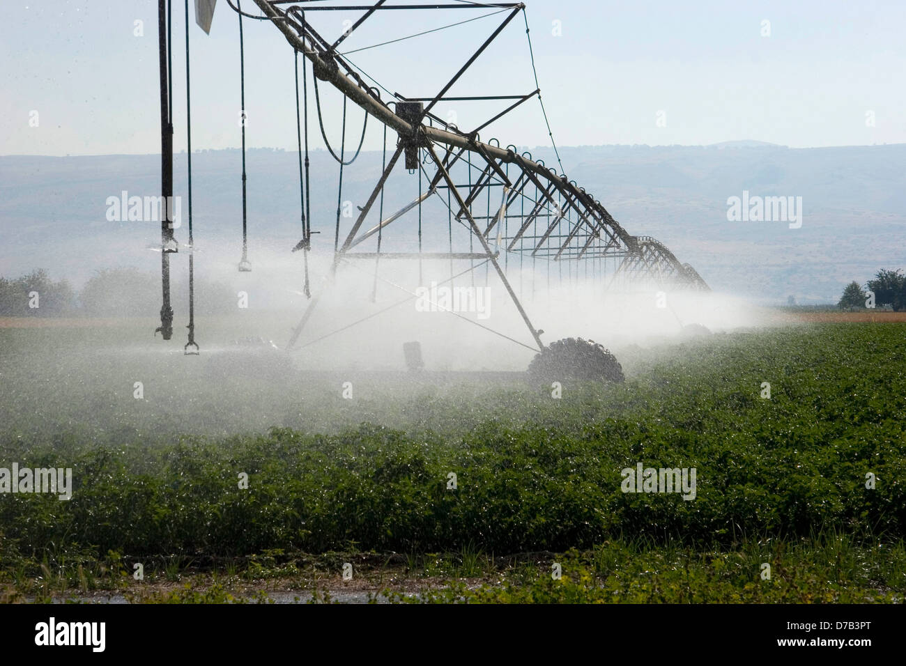 irrigation in Hula's Agamon Lake Stock Photo - Alamy
