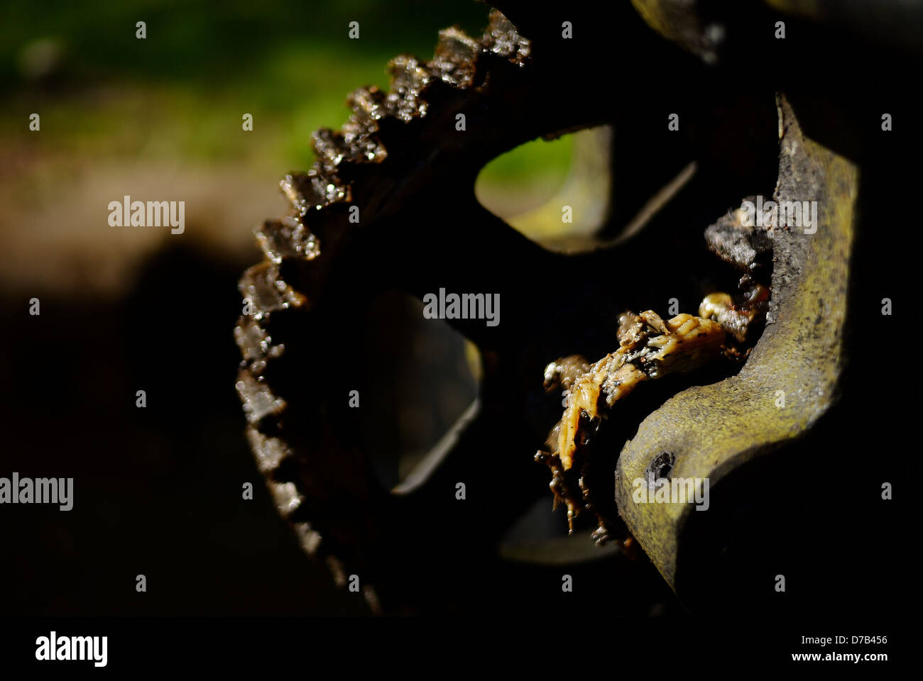 A cog used to raise and lower the water level on the canal in Yorkshire ...