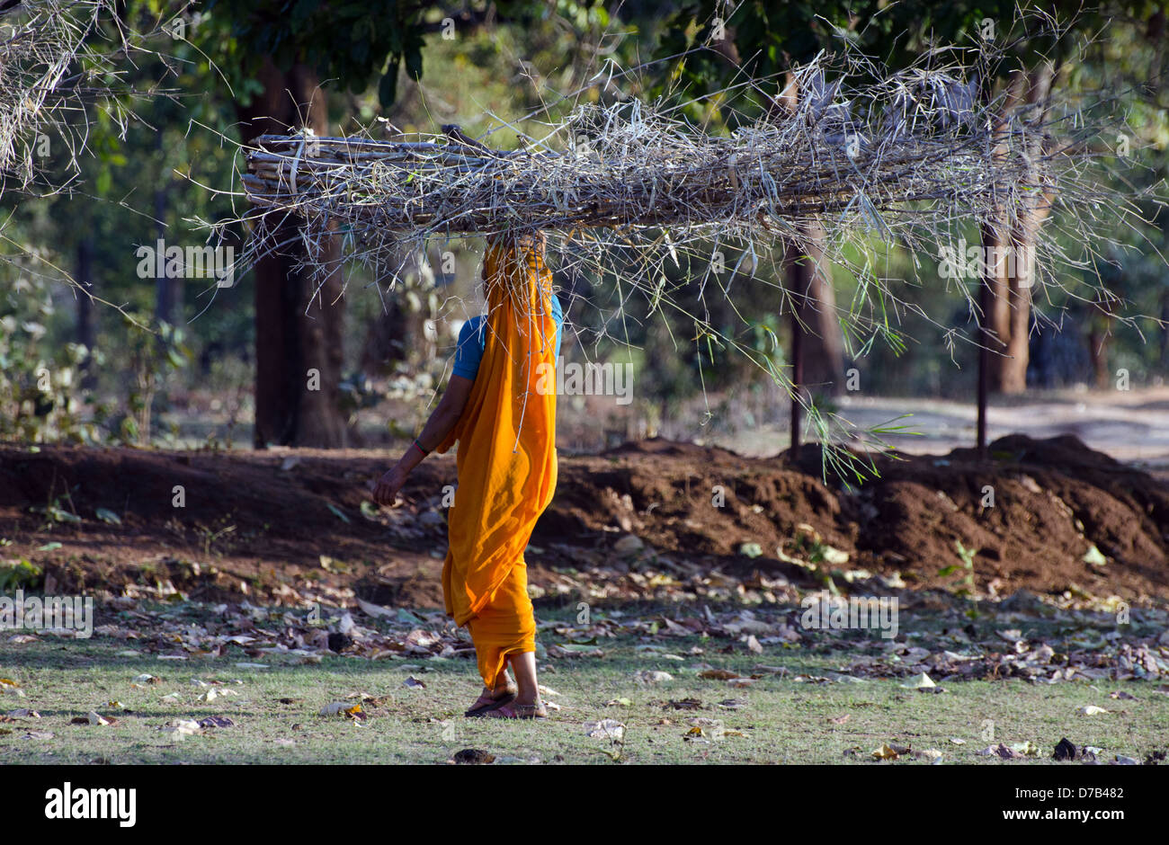 Woman carrying sticks hi-res stock photography and images - Alamy