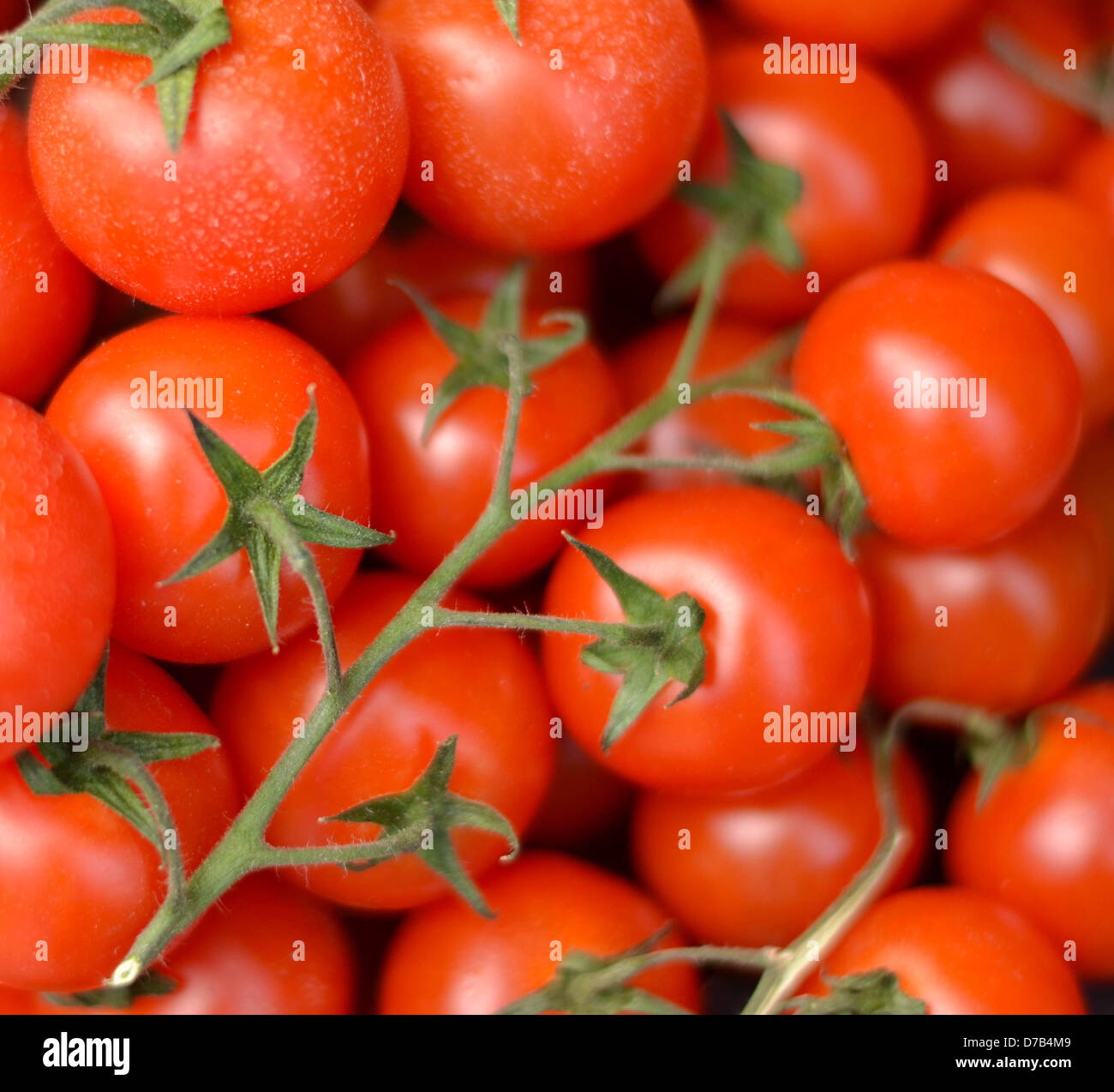 Tomato sauce set tomatoes hi-res stock photography and images - Alamy