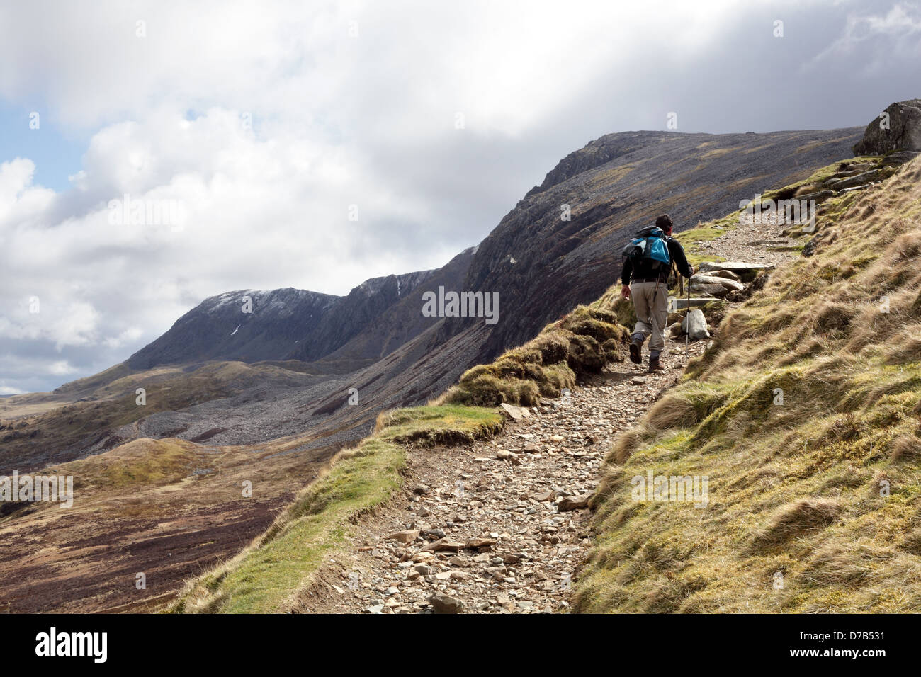 A walker ascending on the Pony Path on the welsh mountain Cadair Idris ...