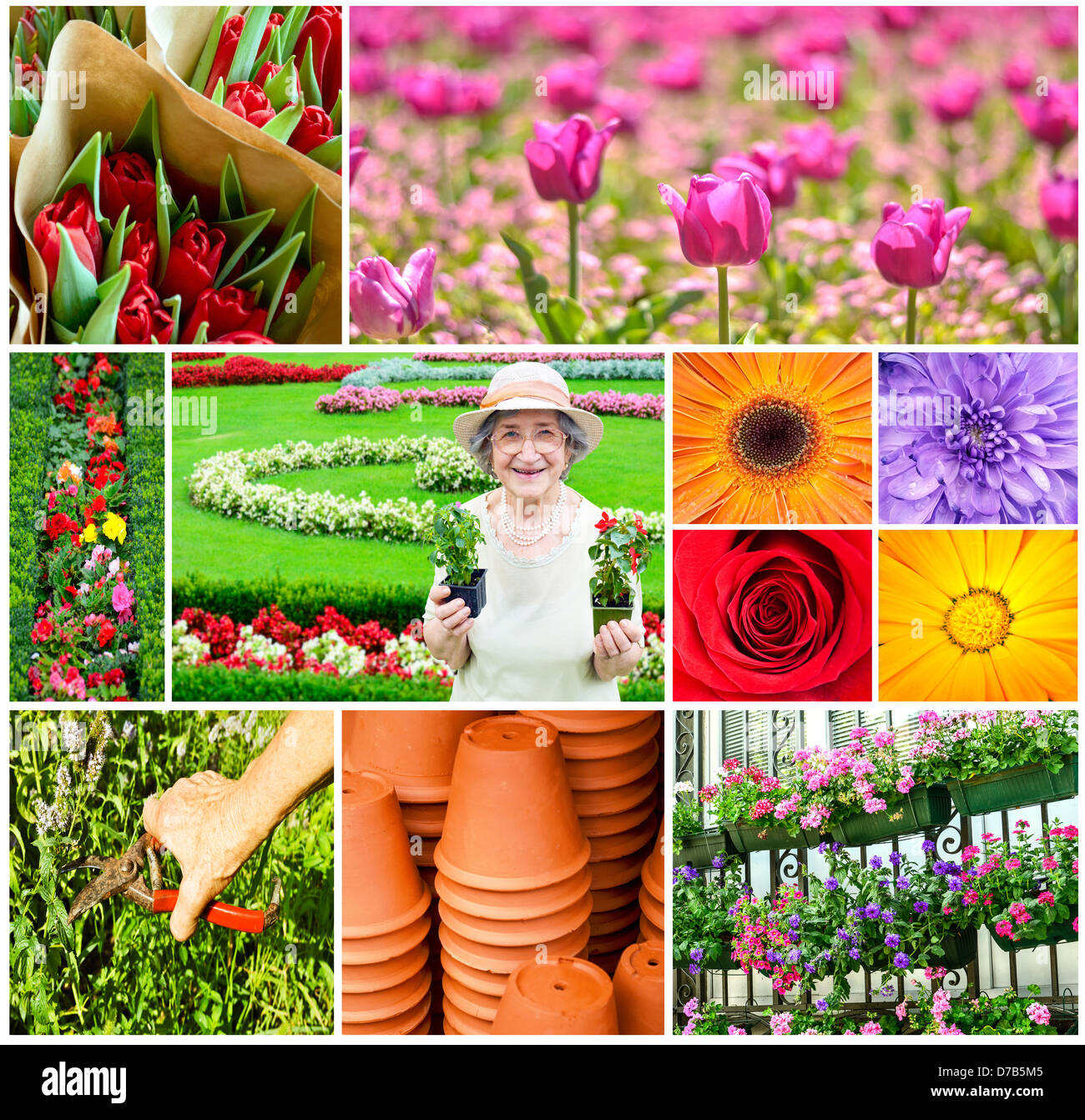 Garden rose woman set hi-res stock photography and images - Alamy