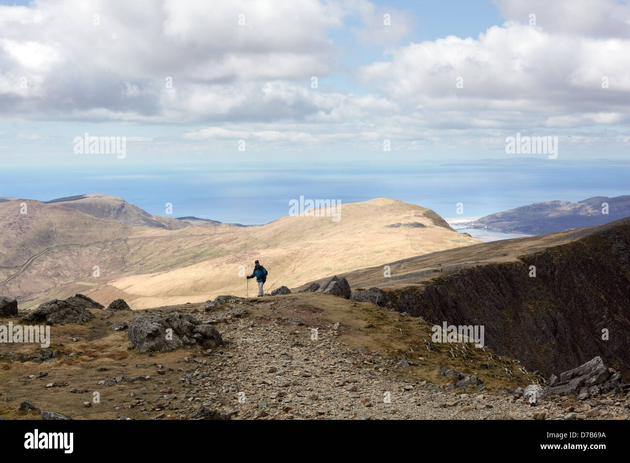 A walker descending on the Pony Path on the welsh mountain Cadair Idris ...