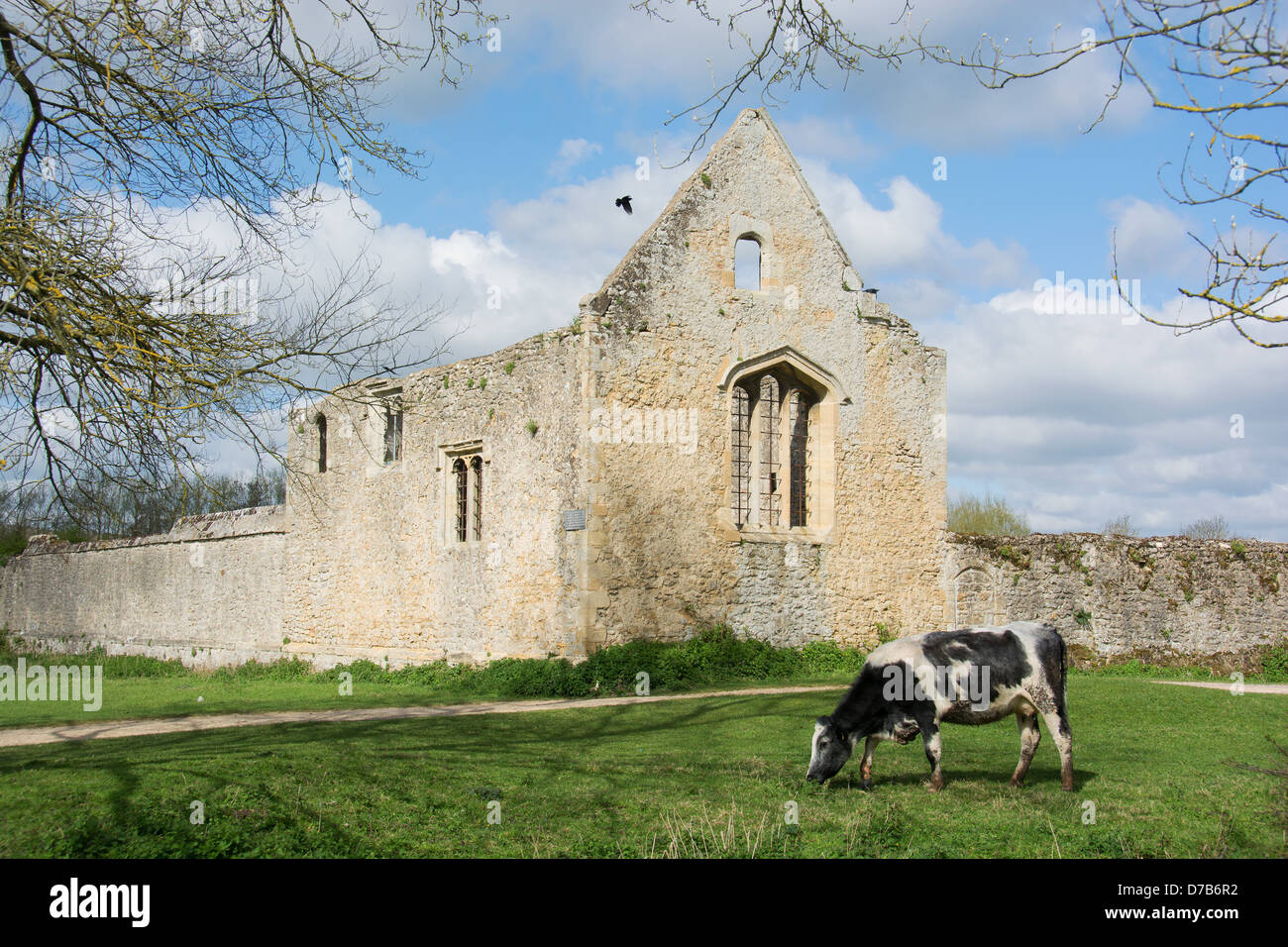 OXFORD, UK. The remains of Godstow Abbey by the River Thames. 2013 ...