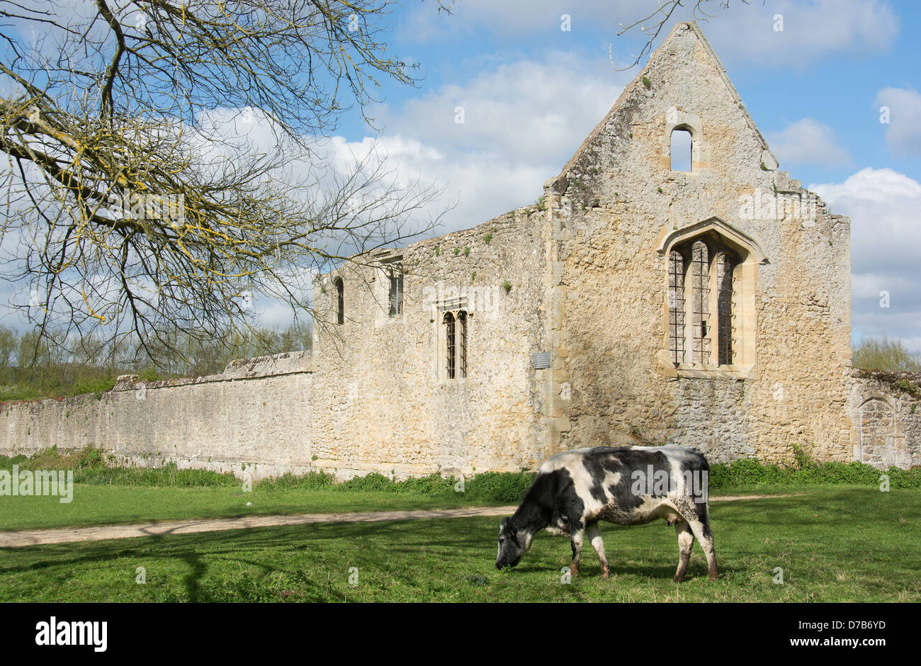 Godstow abbey hi-res stock photography and images - Alamy