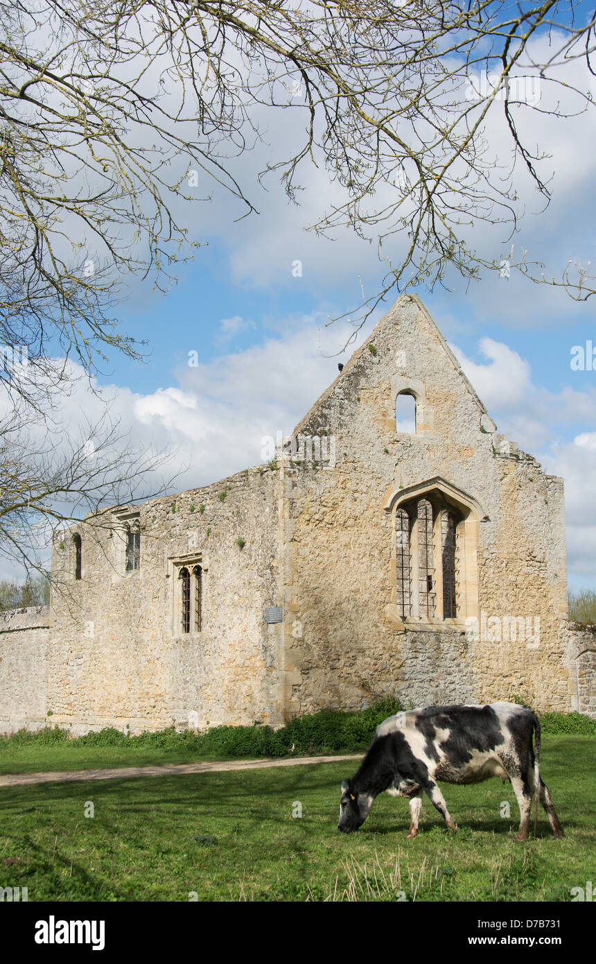 Godstow abbey hi-res stock photography and images - Alamy