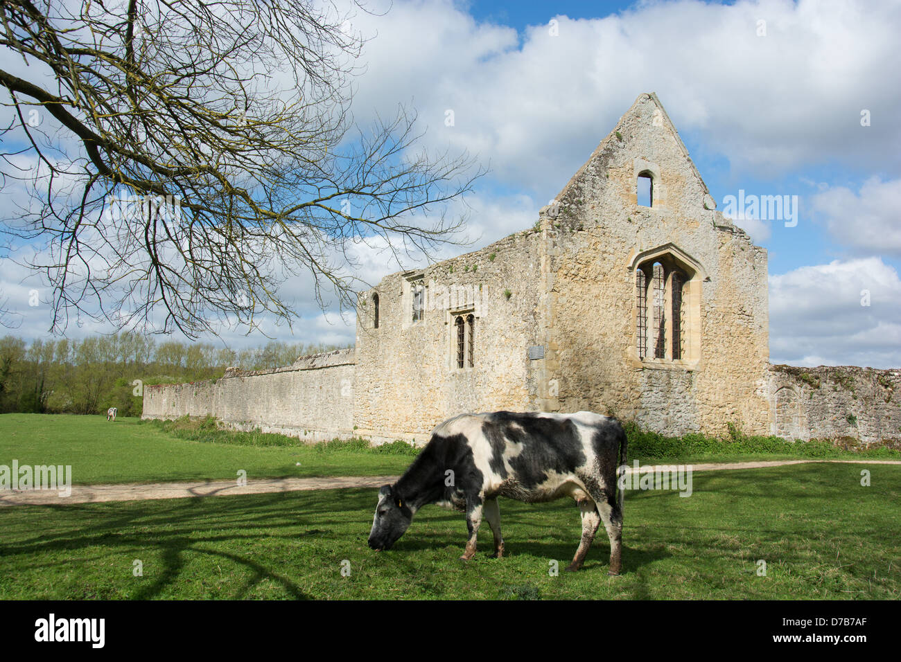 Godstow abbey hi-res stock photography and images - Alamy