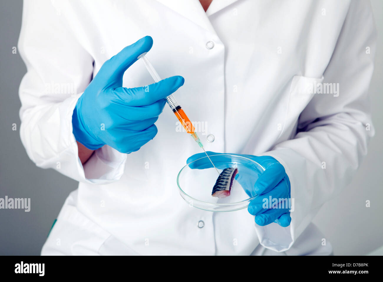 Food sample dish hi-res stock photography and images - Alamy