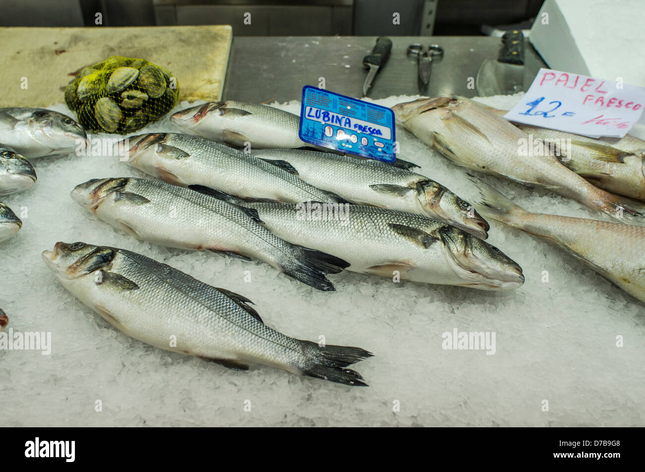 Fresh Fish, Valencia central market, Spain Stock Photo - Alamy