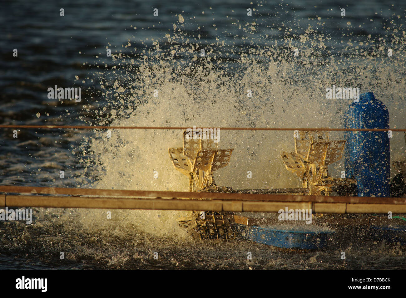 Fish pool hi-res stock photography and images - Alamy