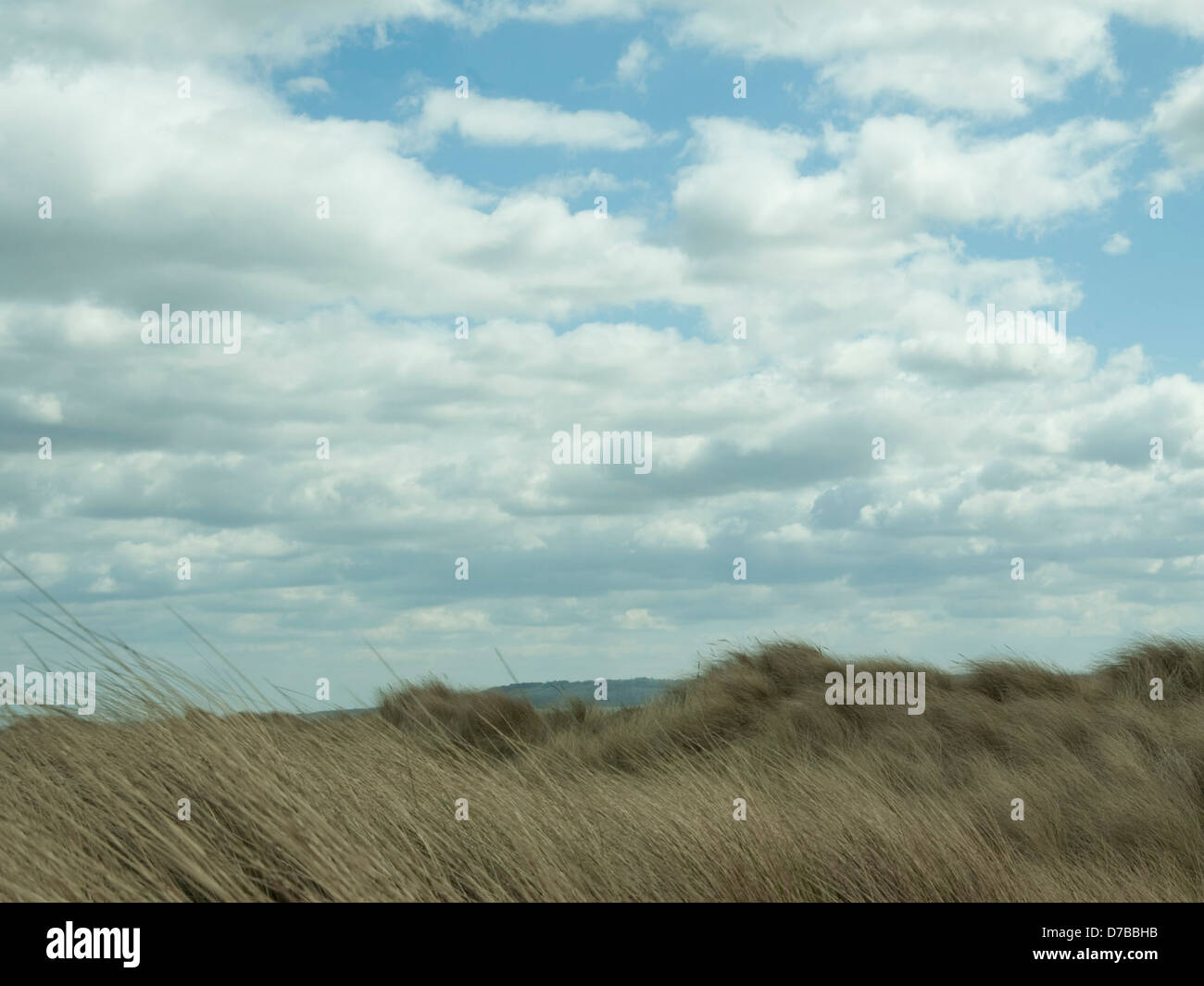 wind swept heather with cloudy sky Stock Photo - Alamy