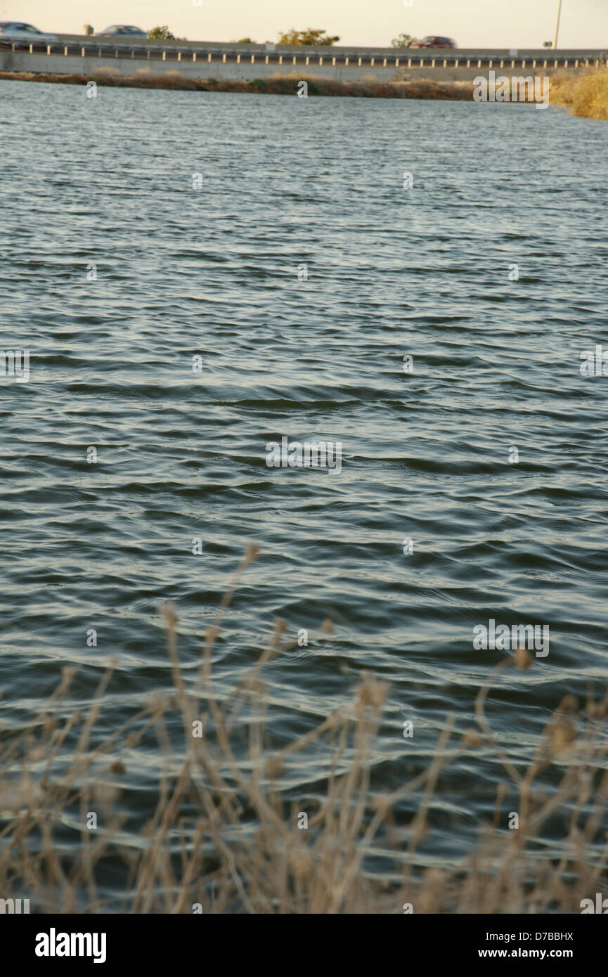 Fish pool hi-res stock photography and images - Alamy