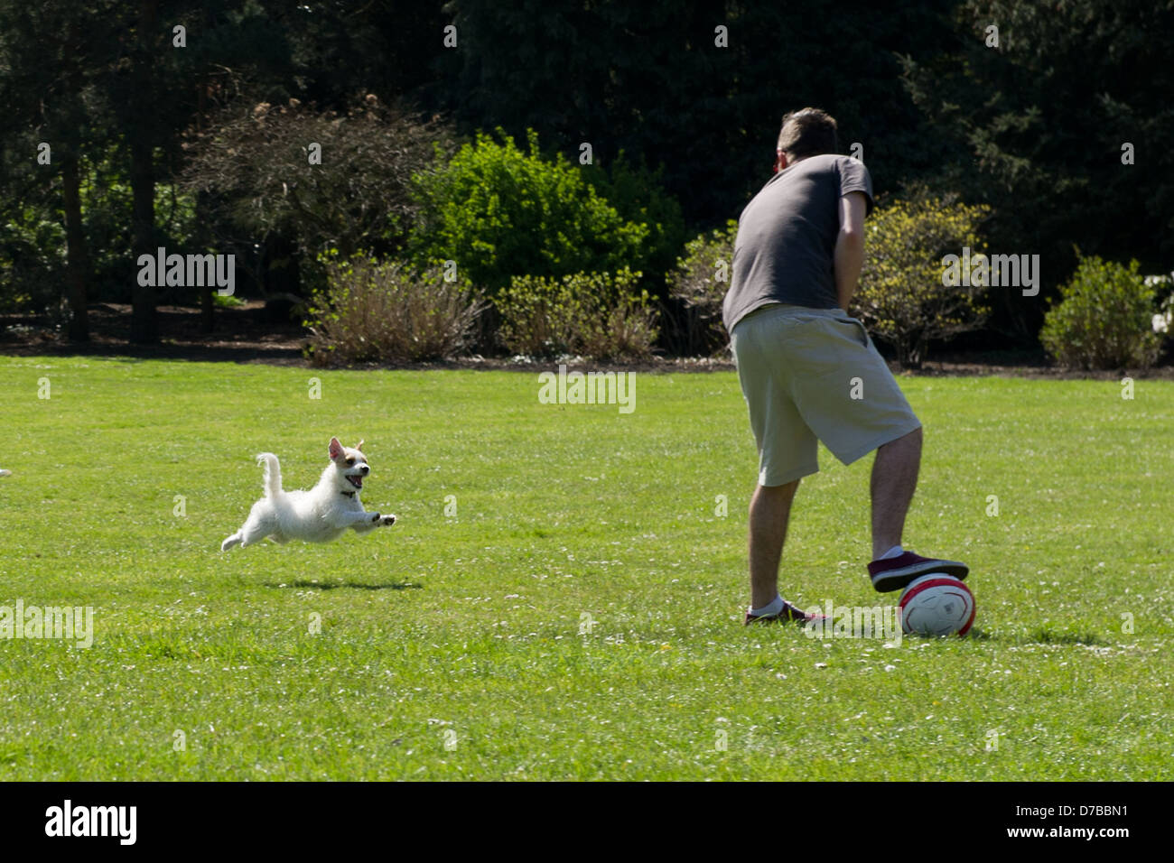 Football football cardiff hi-res stock photography and images - Alamy