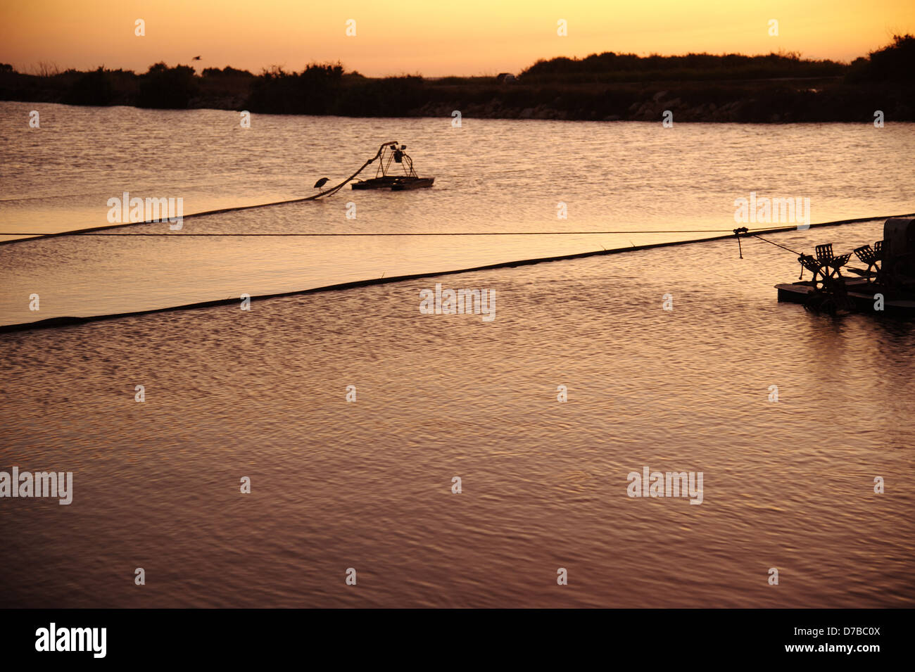 Fish pool hi-res stock photography and images - Alamy