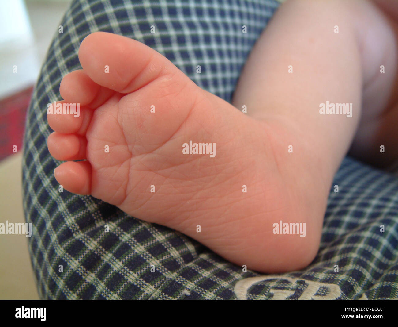 Foot of an infant (three months old Stock Photo - Alamy