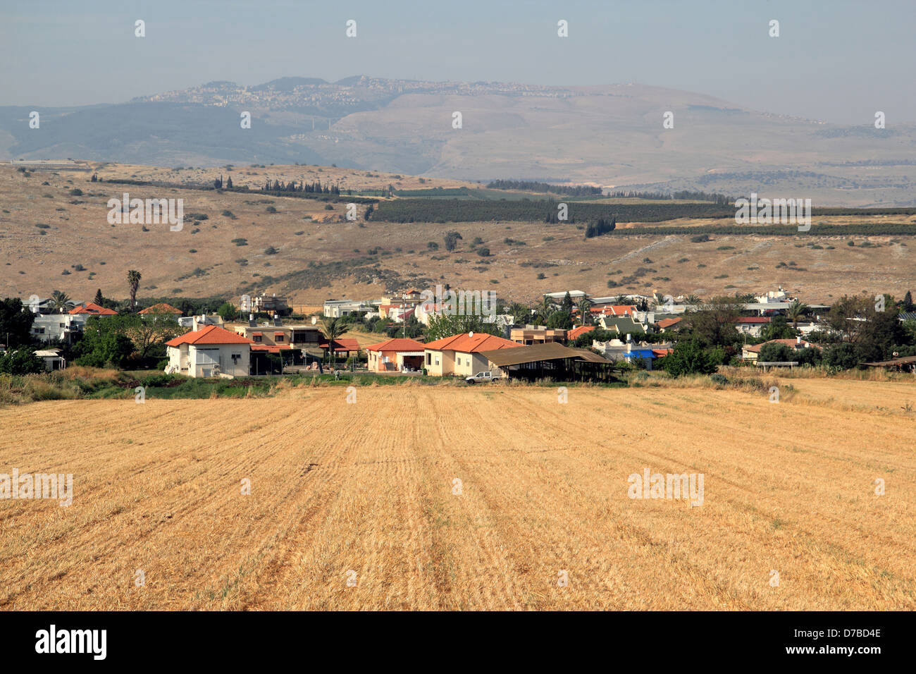 Moshav arbel hi-res stock photography and images - Alamy