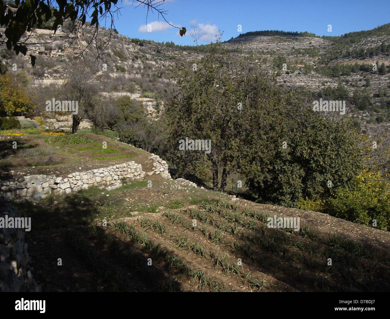 Sataf hi-res stock photography and images - Alamy