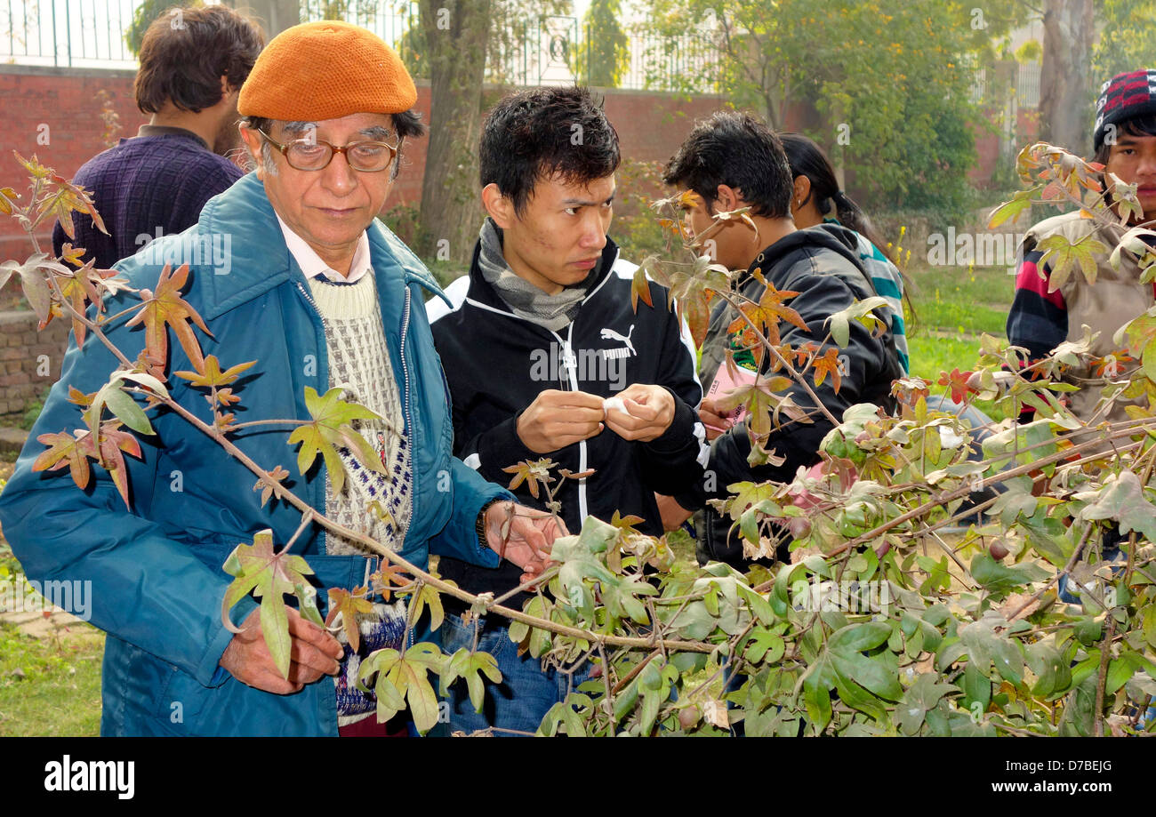 Botany students in the botanical garden Stock Photo - Alamy