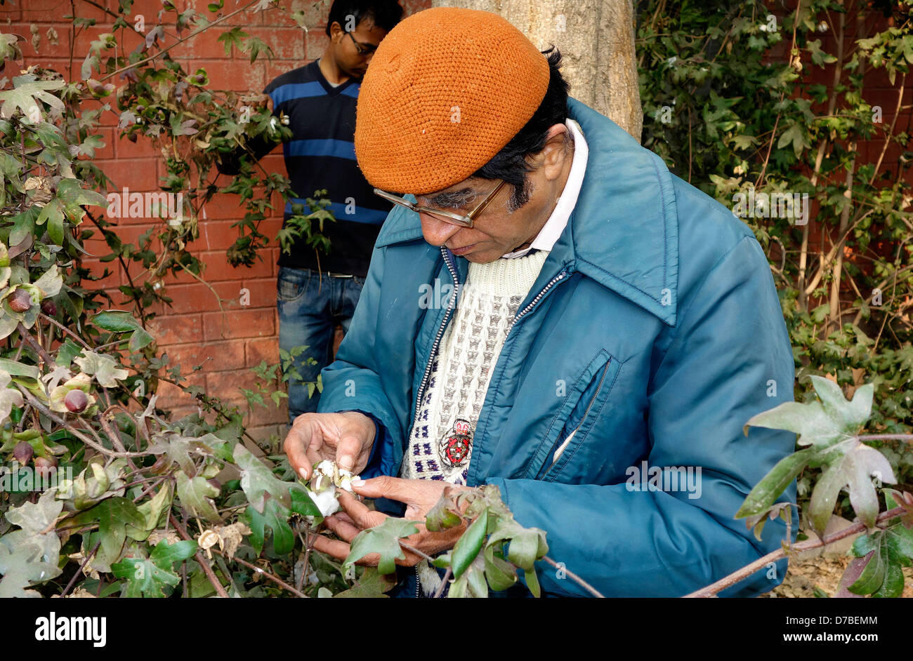 Student with teacher learning field flowers and Plants Stock Photo - Alamy