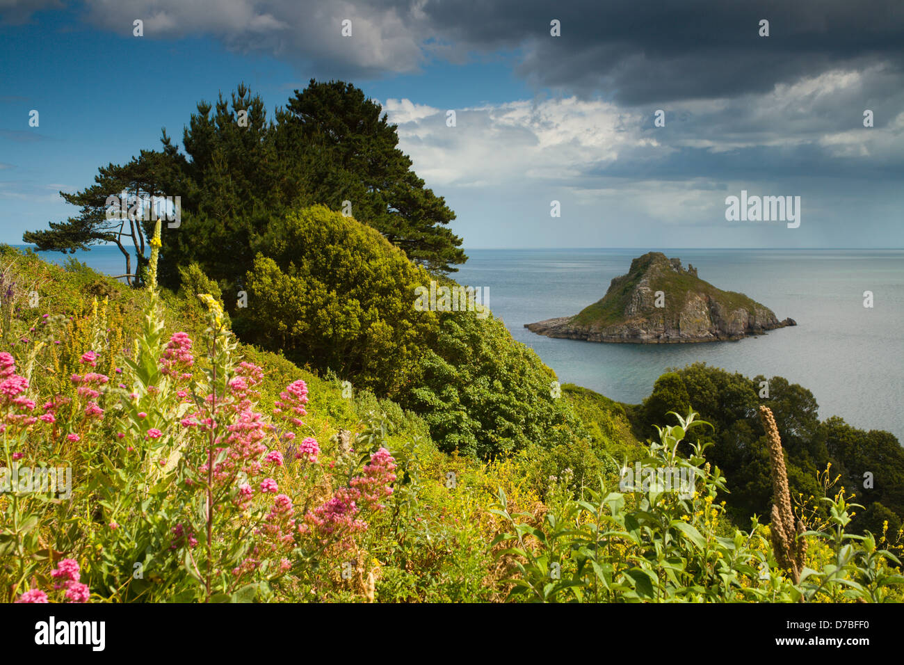 Thatcher Rock, Torquay Stock Photo - Alamy