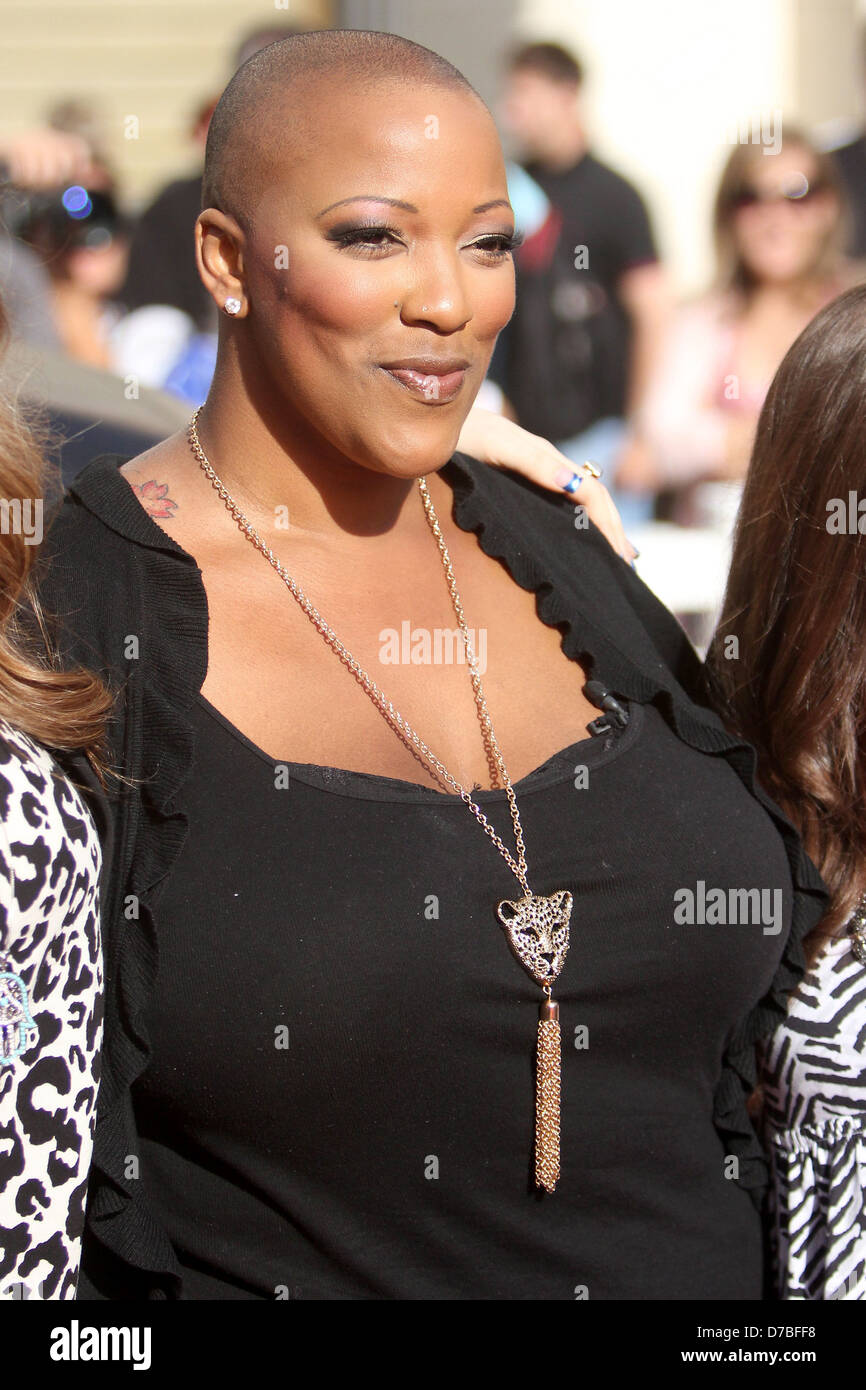 Frenchie davis hi-res stock photography and images - Alamy