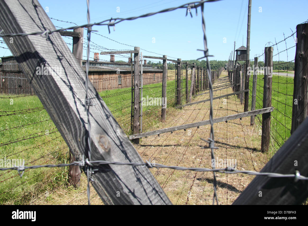 Barbed wired fence surrounding prisoners' barracks at Majdanek death ...