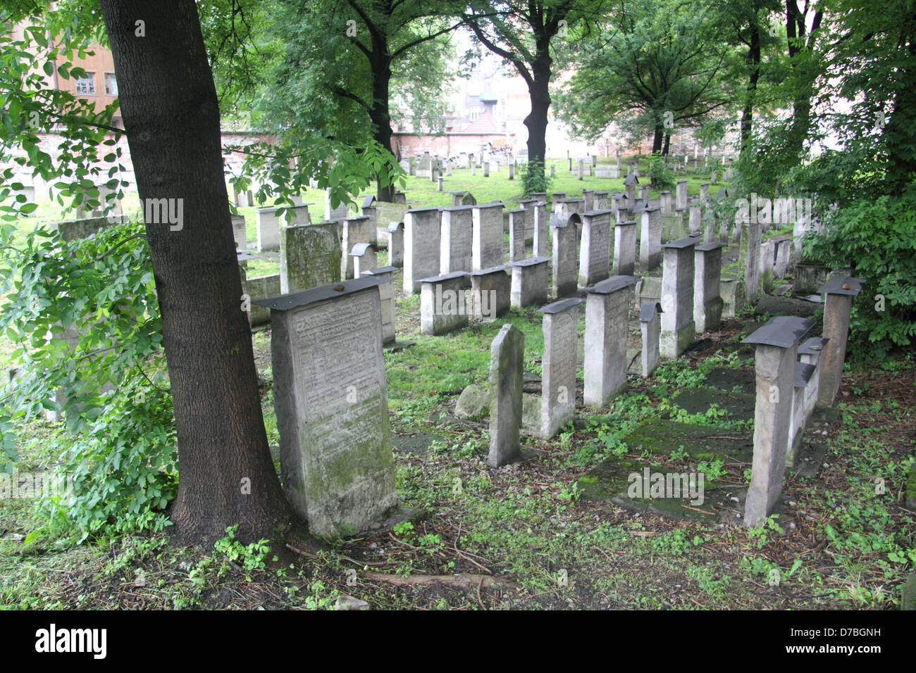The Old Jewish Cemetery (Where The Rama is buried) In Kraków , Poland ...