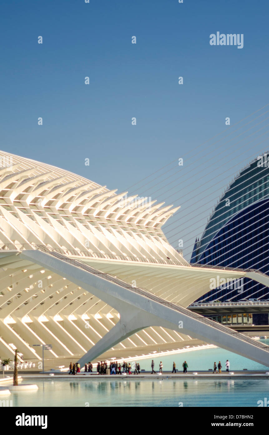 Museu de les Ciències Príncipe Felipe. The City of Arts and Sciences in ...
